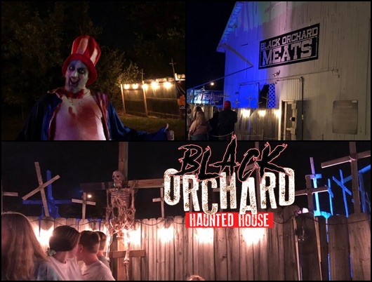 Black Orchard Haunted House 2019 Review – City Blood: Ohio, Kentucky ...